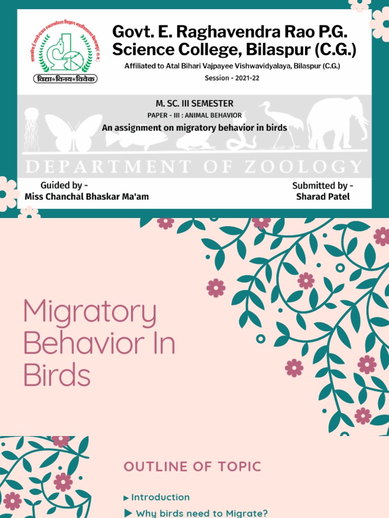 Migratory Behaviour in Birds | PDF | Bird Migration | Birds