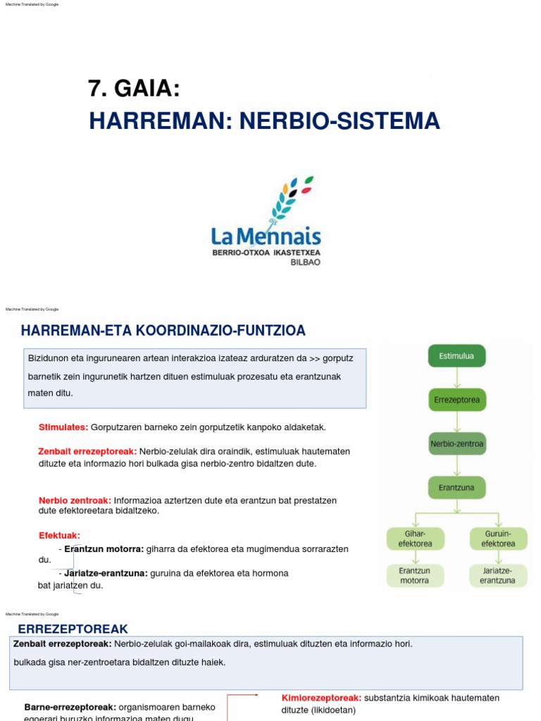 GAIA:: Harreman: Nerbio-Sistema | PDF
