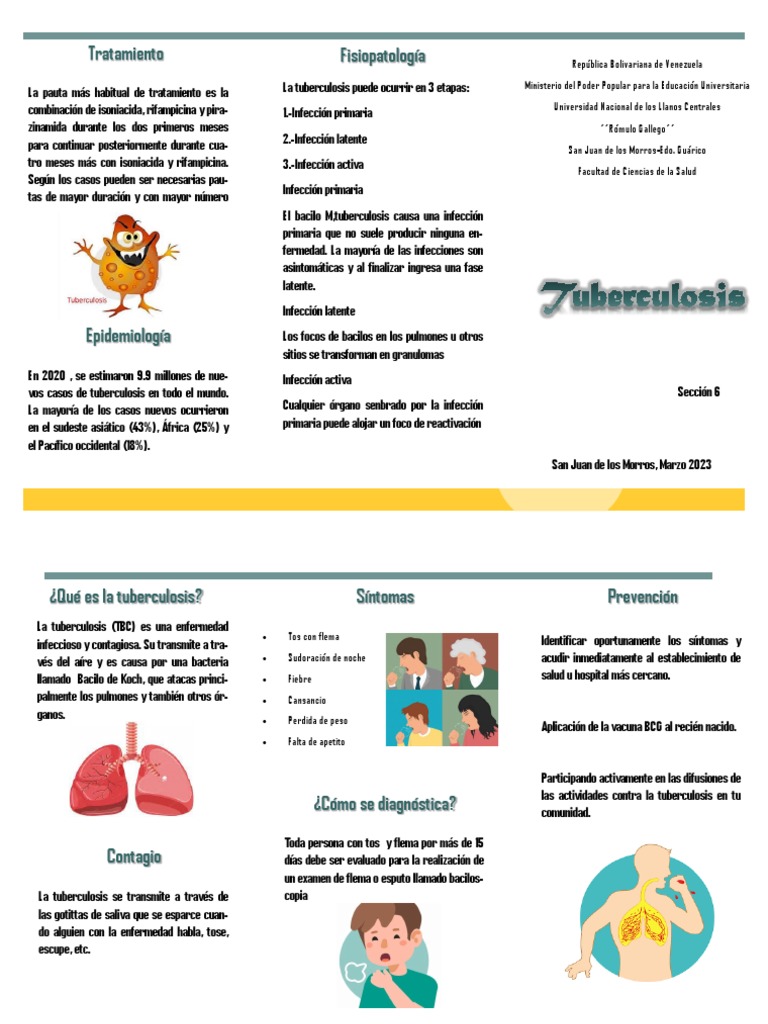 Triptico | PDF | Tuberculosis | Ciencias de la Salud