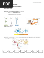 Reflex Arc Worksheet | PDF