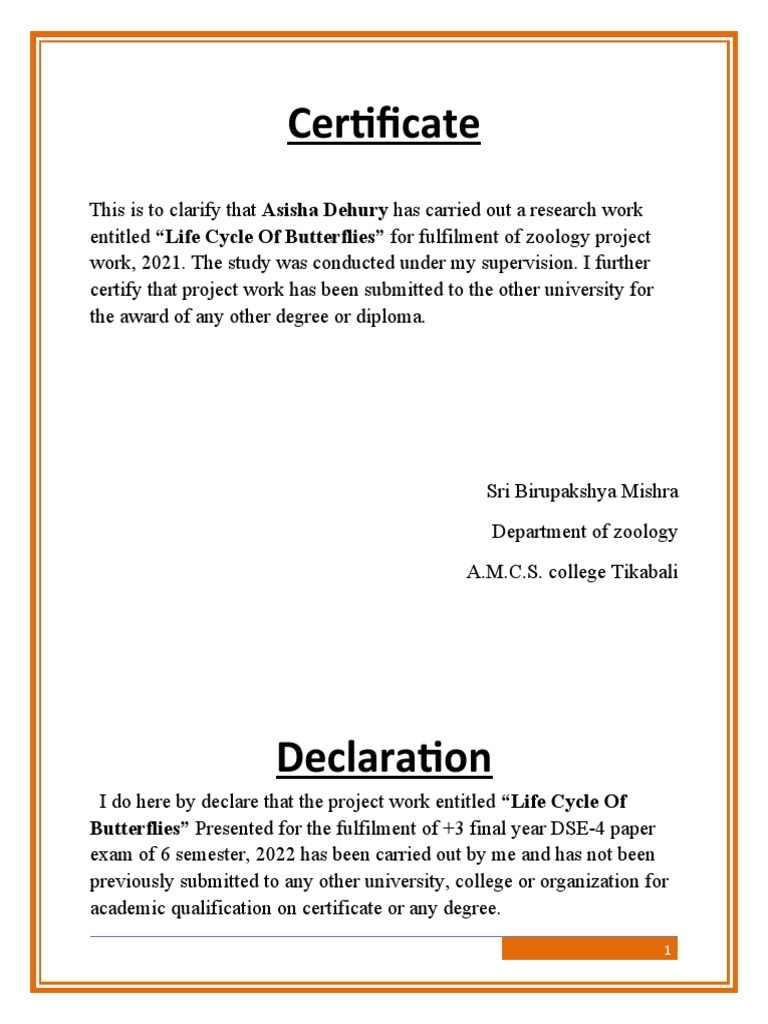 Zoology Project On Butterfly ? | PDF | Pupa | Butterfly