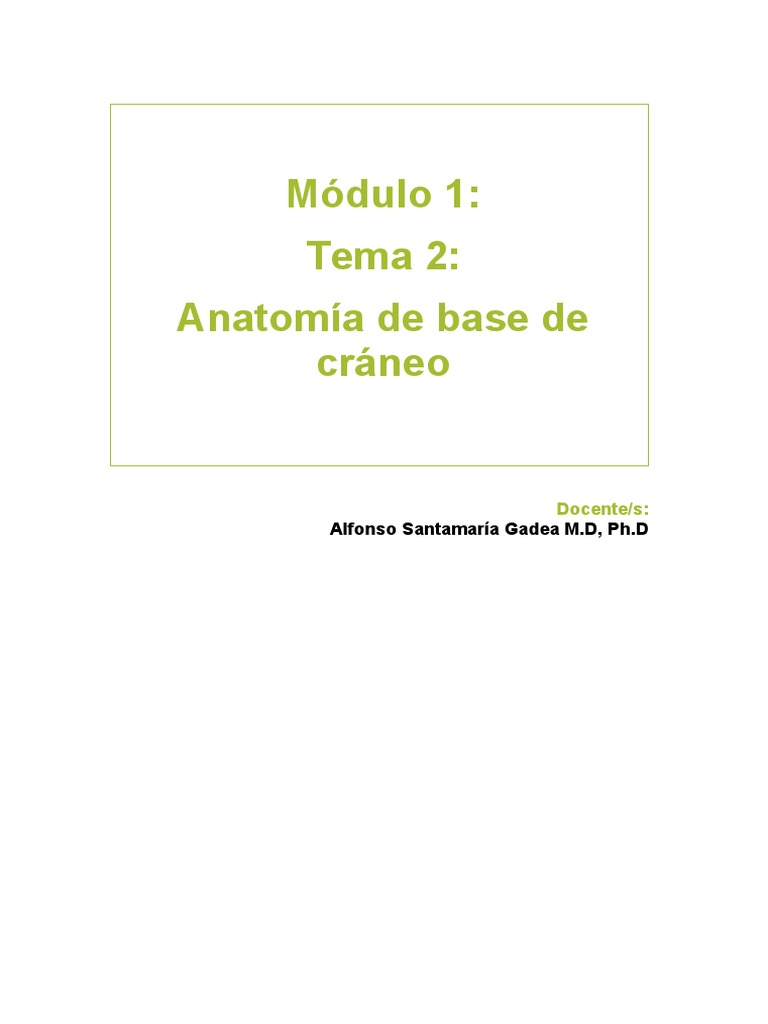 Módulo 1. Tema 2. Anatómia de La Base Del Cráneo. No Difundir | PDF | Anatomía humana | Sistema ...