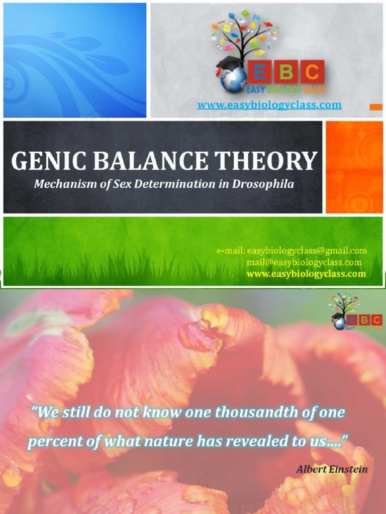 Genic Balance Theory of Sex Determination PPT by Easybiologyclass | PDF