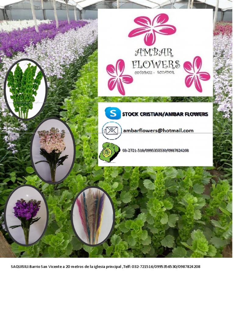 AMBAR FLOWERS 2022.0 | PDF