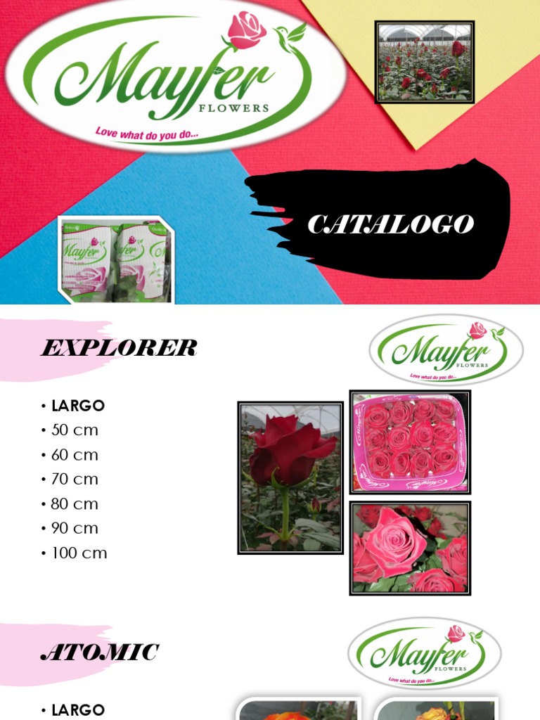 Catalogo Mayfer 2022 | PDF
