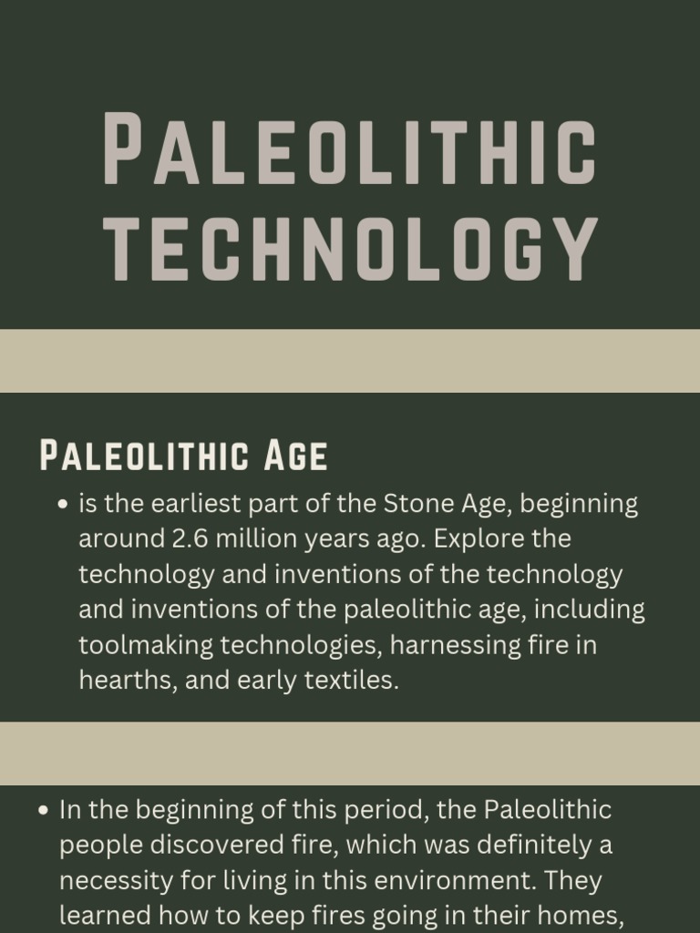 Stone Age | PDF | Paleolithic | Stone Age