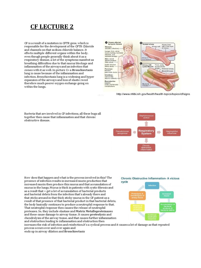 CF Lecture 2 | PDF | T Helper Cell | Respiratory Tract