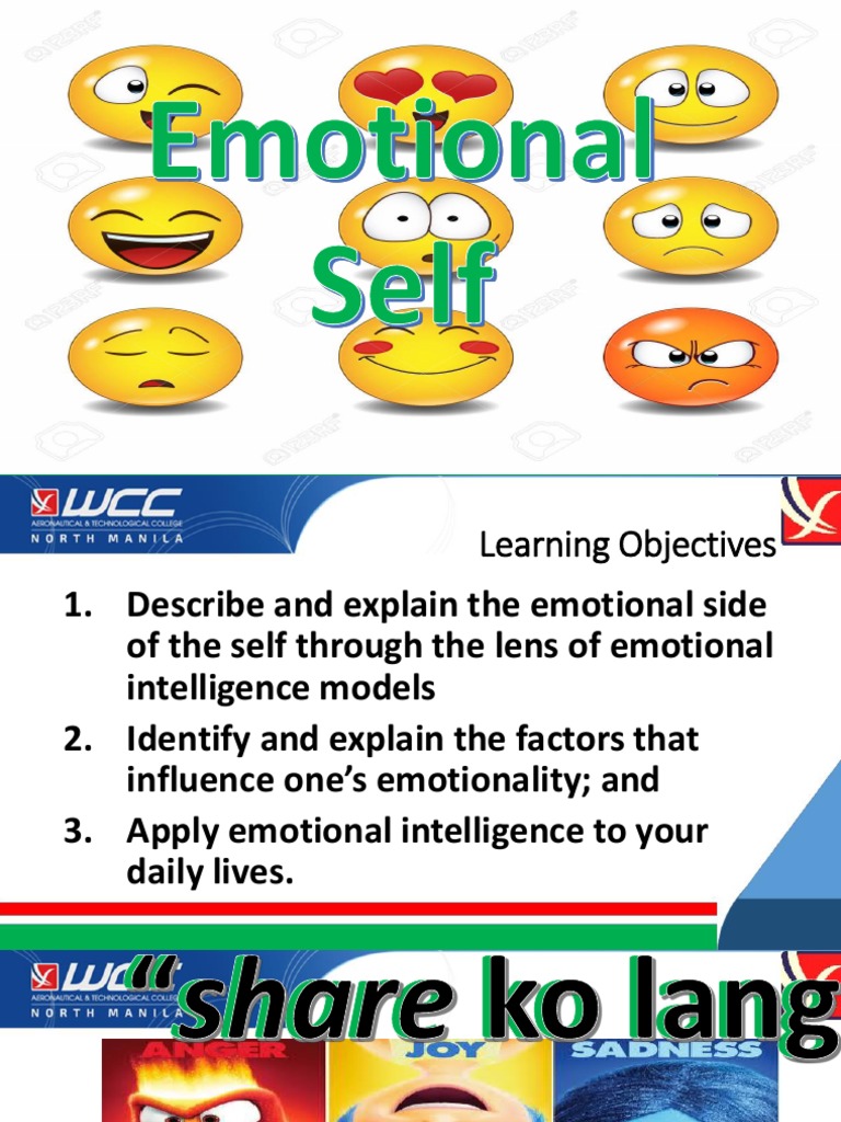 Understanding Emotions: An Exploration of Emotional Intelligence, Its ...