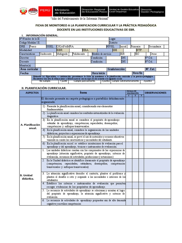 27.-Ficha de Monitoreo | PDF | Evaluación | Aprendizaje
