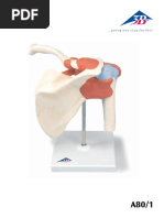 Tornier Perform Reversed Augmented Glenoid Operative Technique | PDF ...