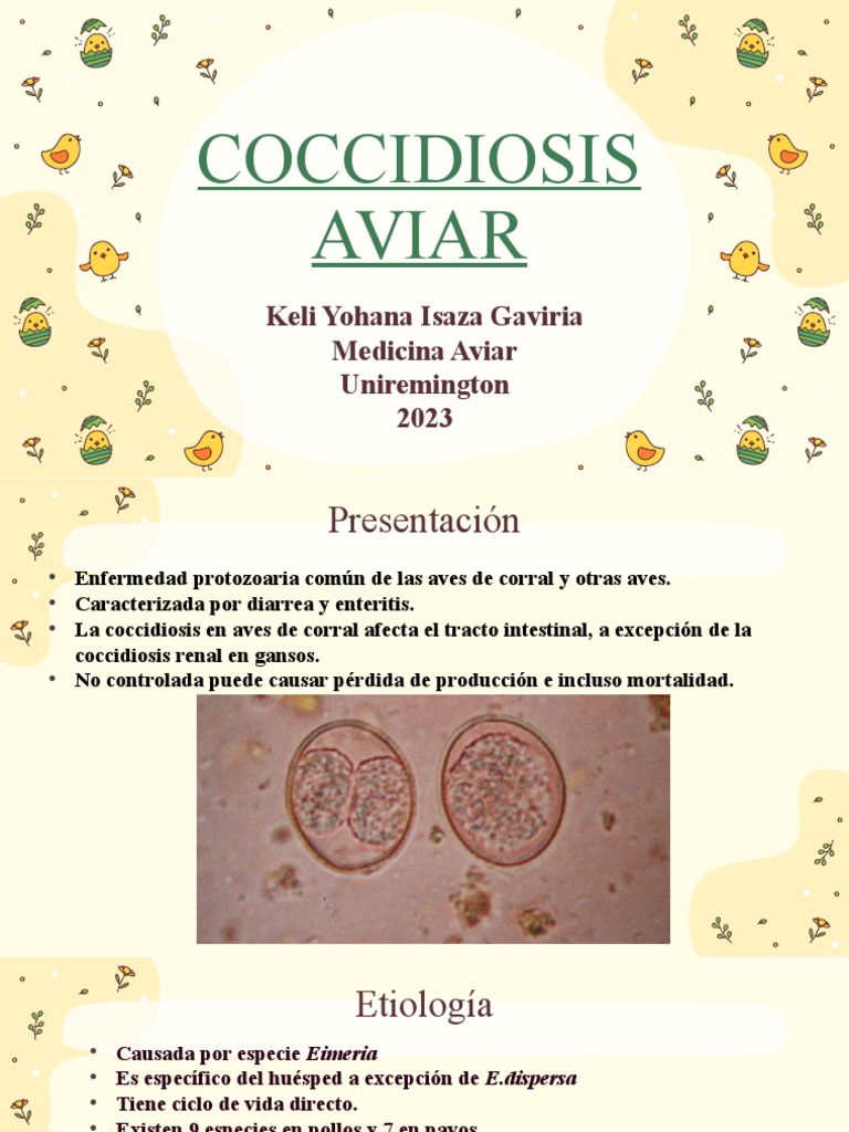Exposición Coccidiosis | PDF | Diarrea | Especialidades Medicas