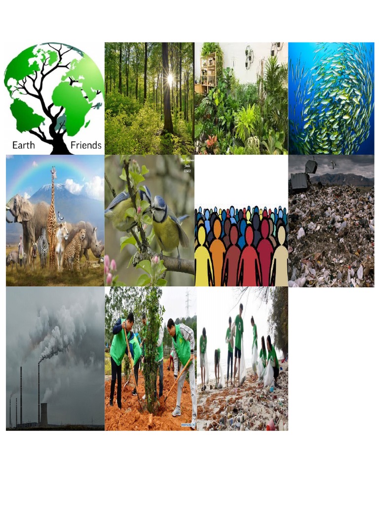 Earth Friends Img | PDF