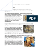 Pig Heart Dissection Manual STEM | PDF | Heart Valve | Atrium (Heart)