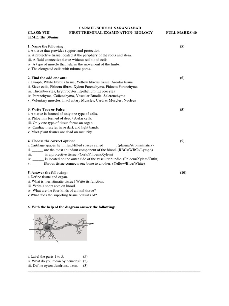 Biology Class 7 | PDF