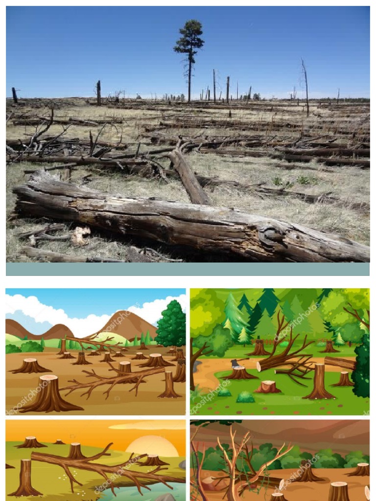 First Flight Poem 7 Trees | PDF