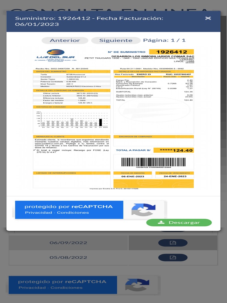 Luz Del Sur Oficina Virtual | PDF