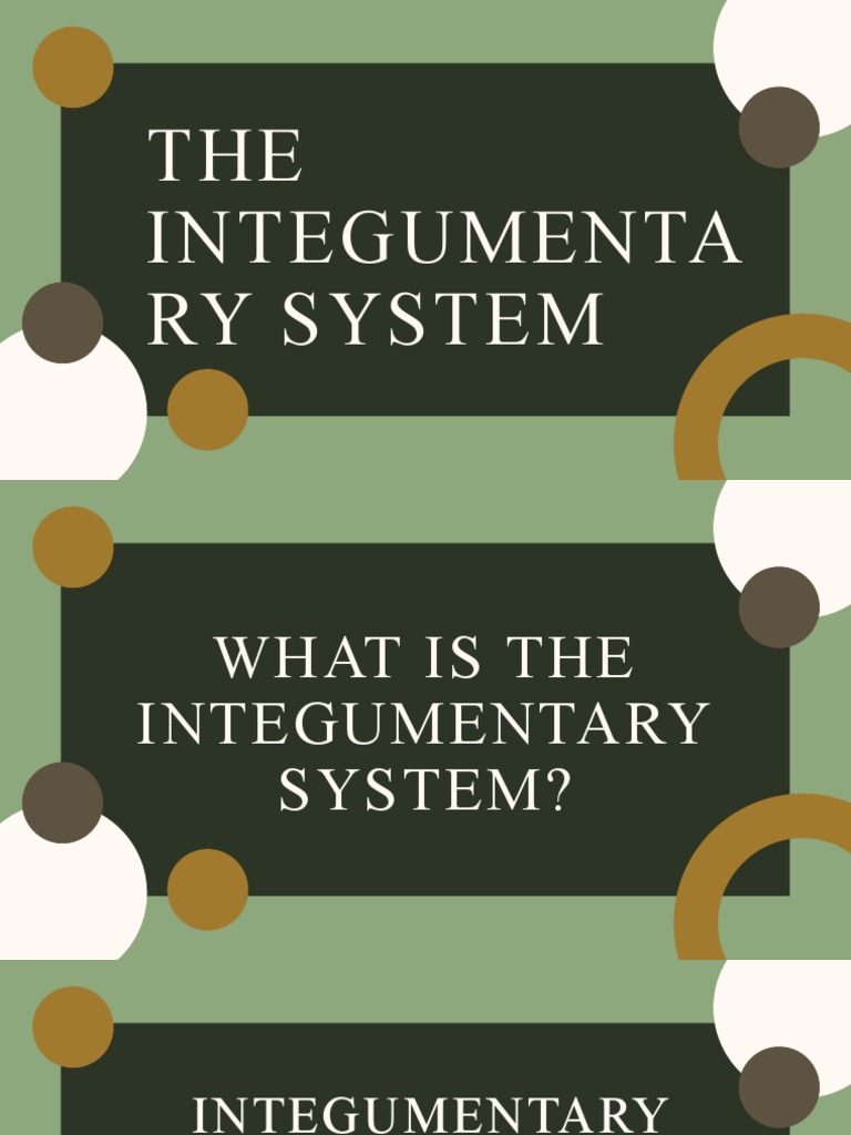 The Integumentary System | PDF