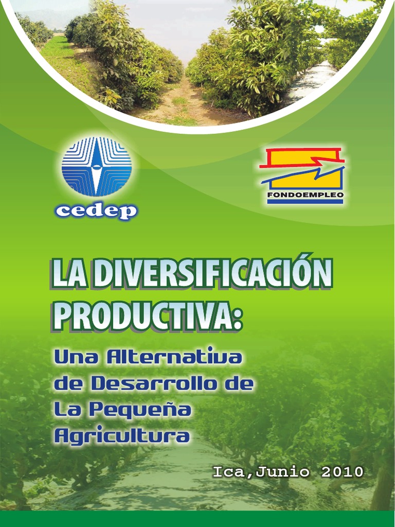 La Diversificacion Productiva 2010 | PDF