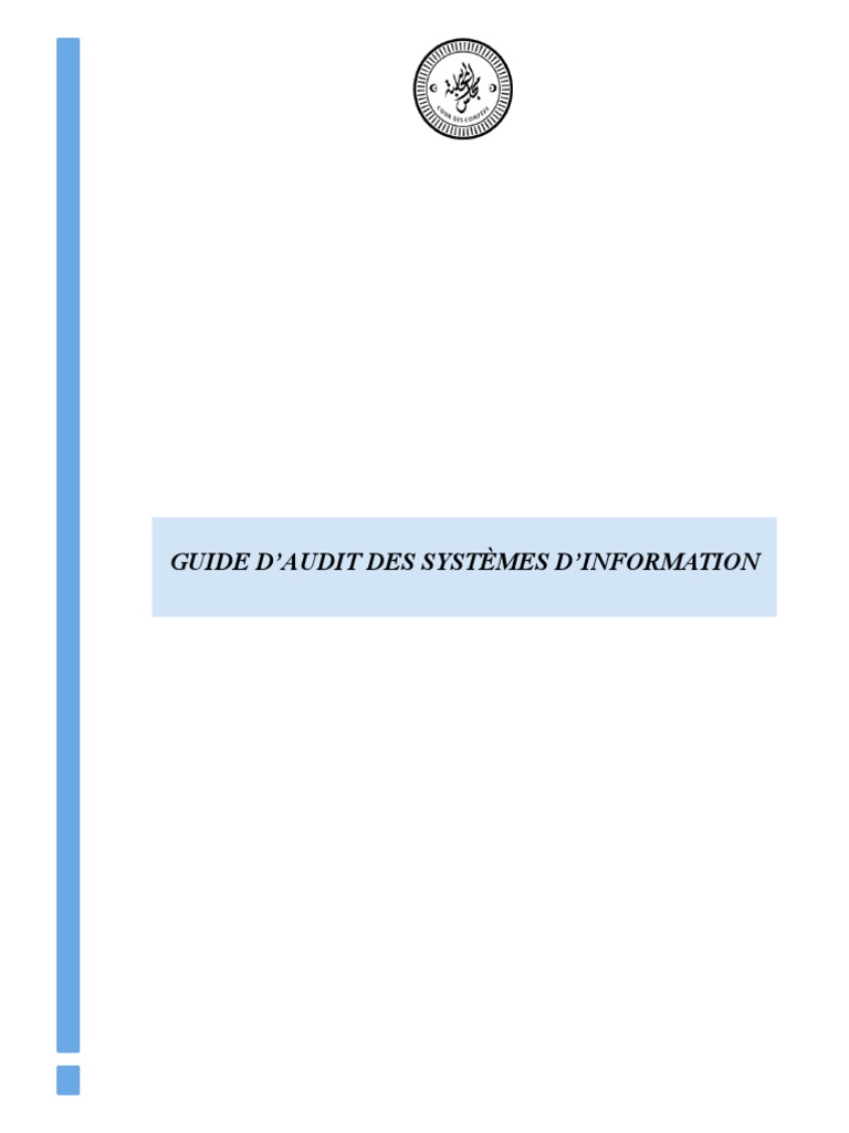 Guide Audit Informatique | PDF | Progiciel de gestion intégré | Application