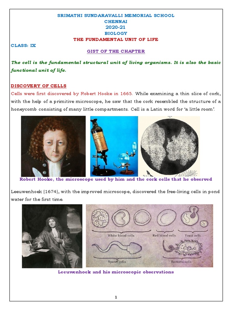 Gist of The Chapter | PDF | Endoplasmic Reticulum | Cell (Biology)
