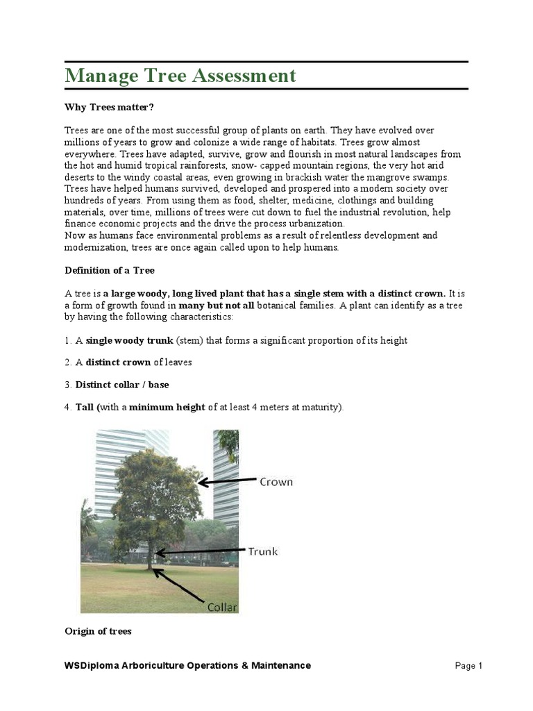 Manage Tree Assessment: Why Trees Matter? | Download Free PDF | Plant Stem | Triangle