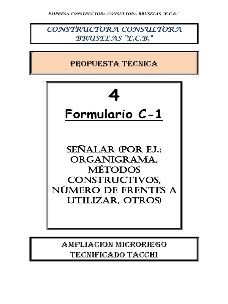 Formulario C-1 (Propuesta Técnica) | PDF | Seguridad Social