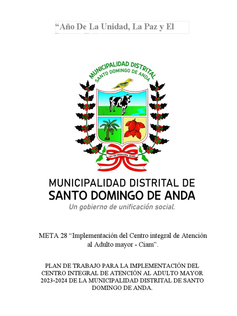 Plan de Trabajo de Ciam | PDF | Vejez