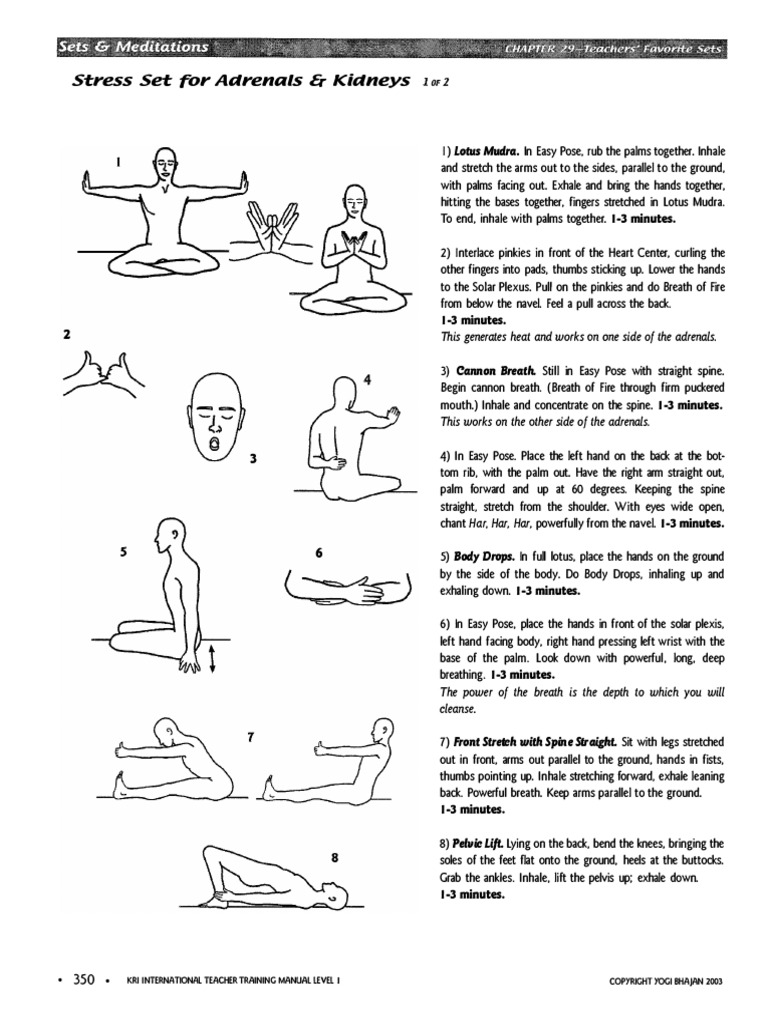Kriya Kidneys | PDF | Hand | Breathing