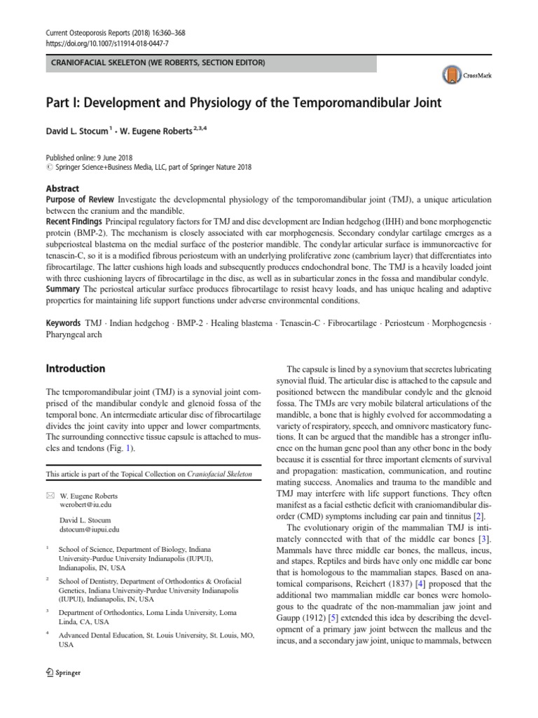 2018 - Development and Physiology of The Temporomandibular Joint | PDF ...