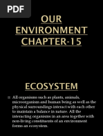 Project On Our Environment For Class 10 | PDF | Food Web | Ecosystem