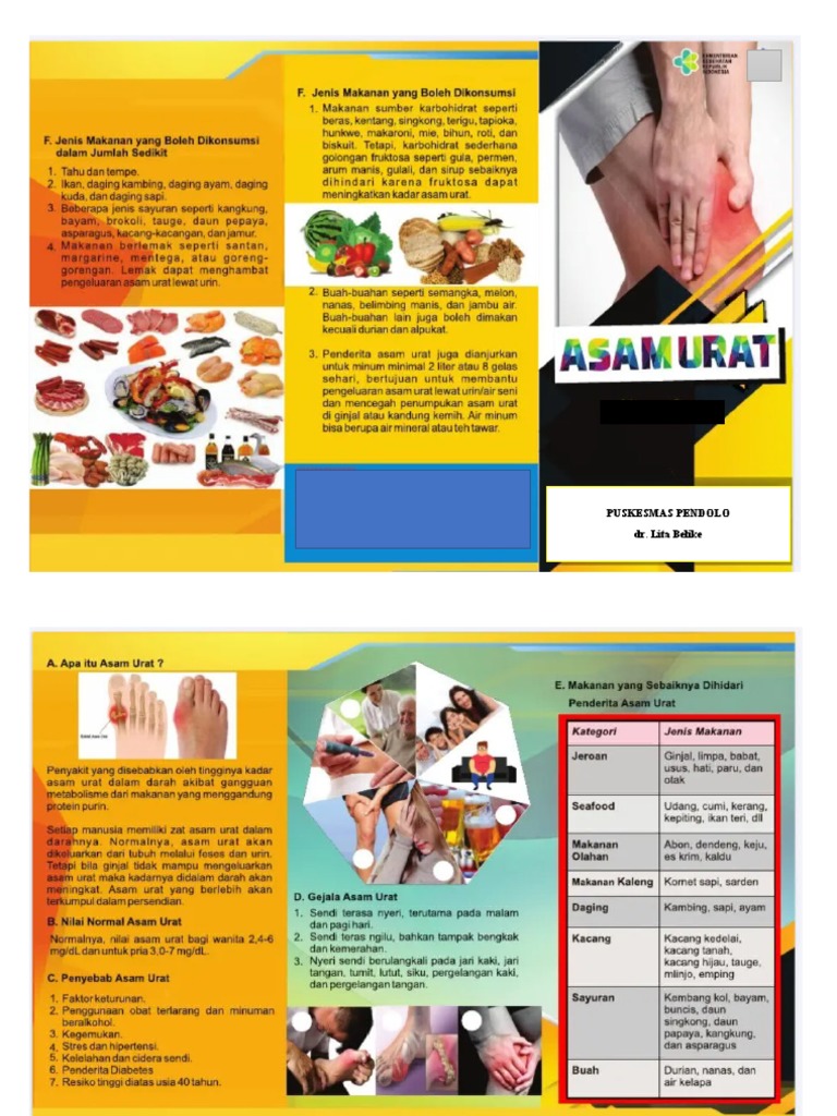 Leaflet Gout | PDF
