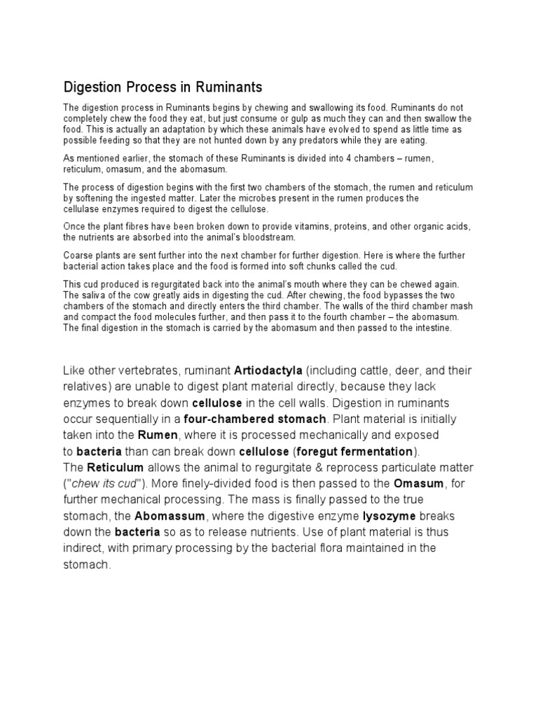 The Complex Digestive Process of Ruminants: A Breakdown of the Multi ...