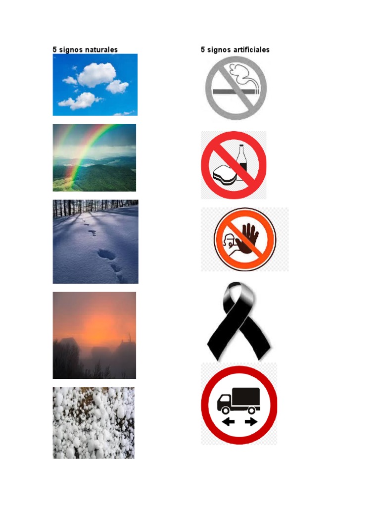 5 Signos Naturales Nufed | PDF