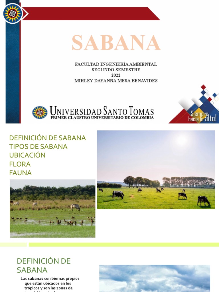 SABANA COLOMBIANA | PDF | Sabana | Fenómenos de la tierra
