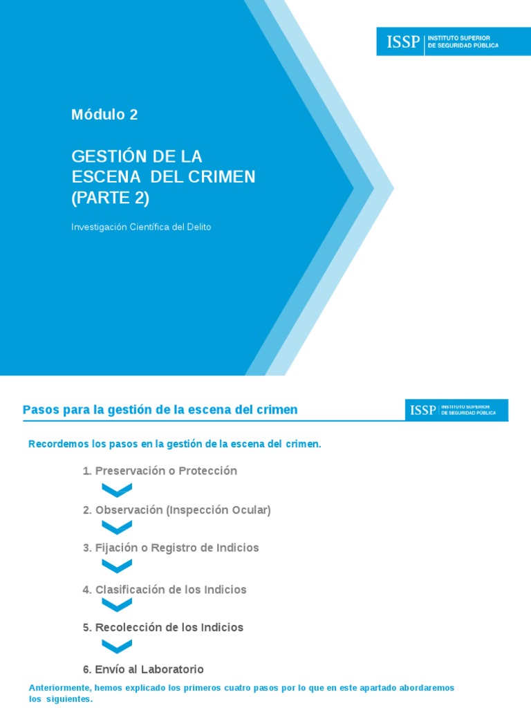 Modulo 2B Gesti N de La Escena Del Crimen | PDF | Violación | Pelo