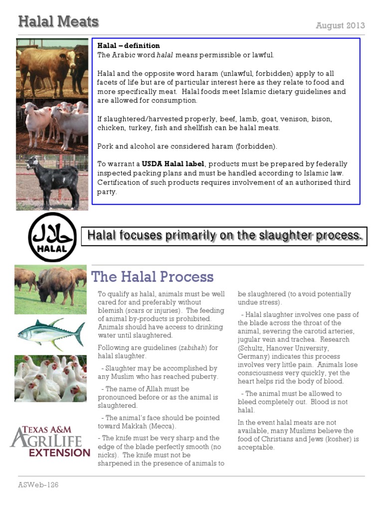 The Halal Process: Guidelines for Proper Slaughter of Meat According to ...