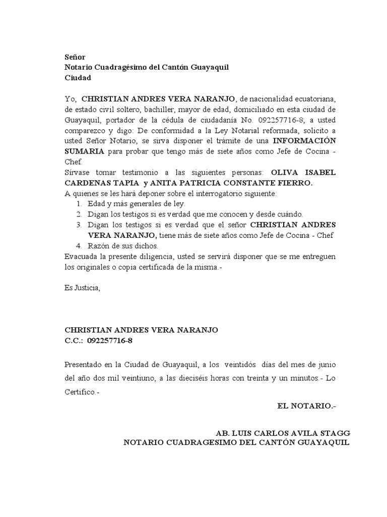 Modelo de Información Sumaria. | PDF | Justicia | Crimen y violencia