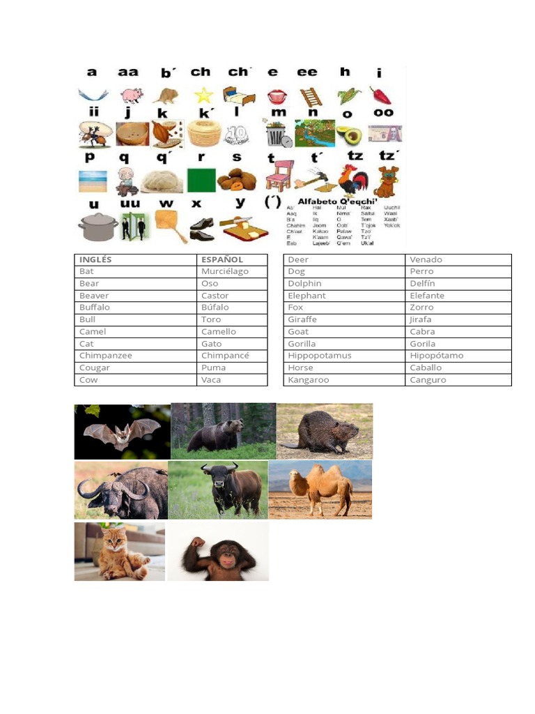 Alfabeto Queqchi | PDF