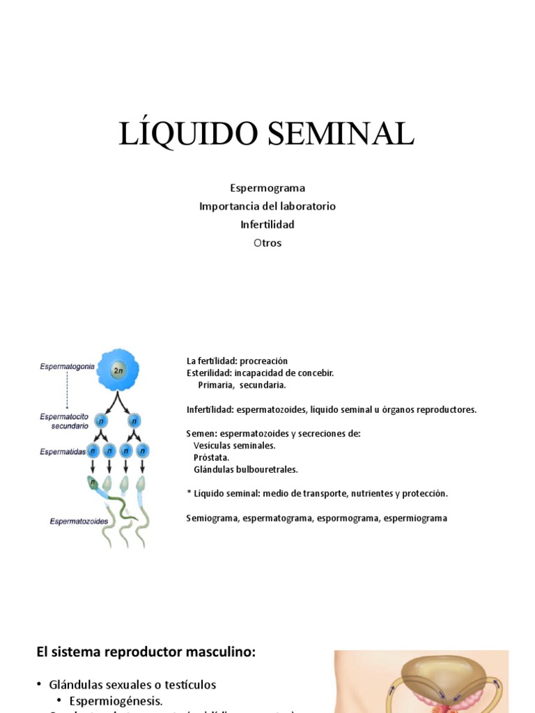 Líquido Seminal | PDF | Semen | Andrologia