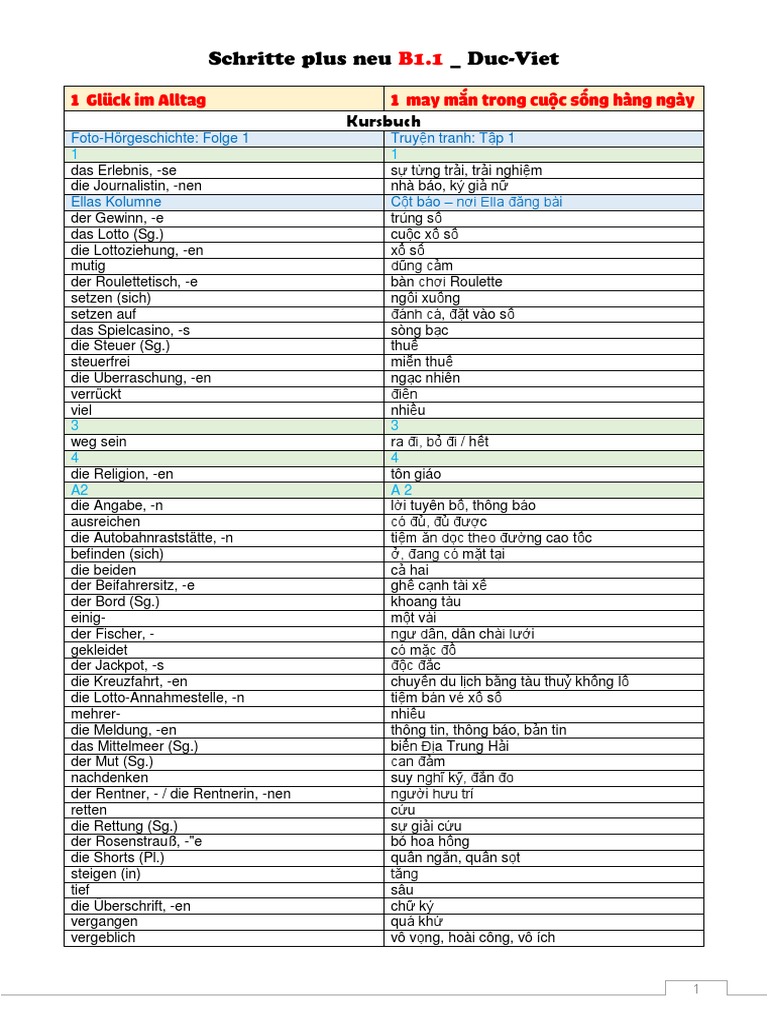 Glossar - Schritte Plus Neu - B1.1 - Duc-Viet | PDF