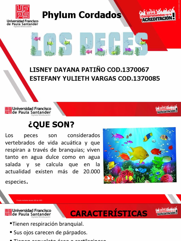 Características y Clasificación de Peces | PDF | Pescado | Animales ...