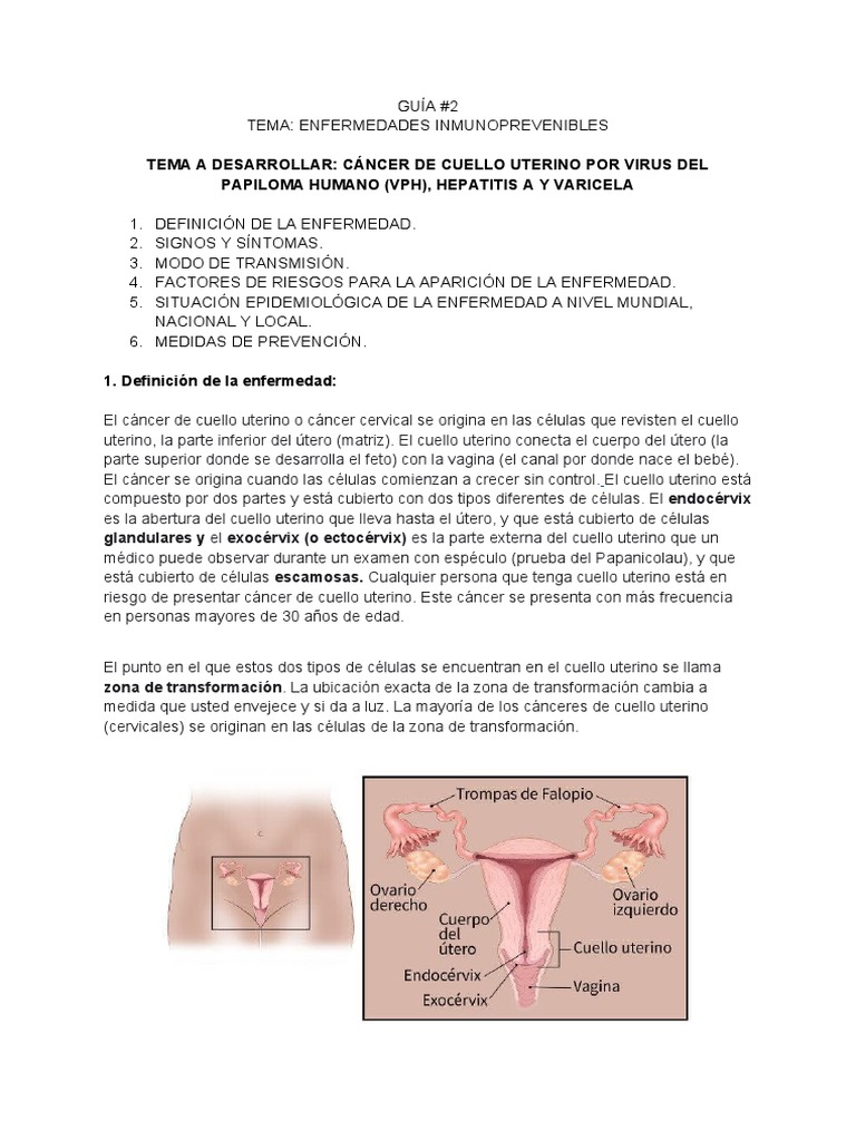 Cáncer de Cuello Uterino Por Virus Del Papiloma Humano (VPH), Hepatitis ...