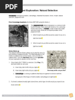 Peppered Moths Natural Selection Game | PDF