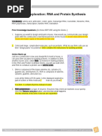 RNA and Protein Synthesis Guide | PDF | Translation (Biology) | Rna