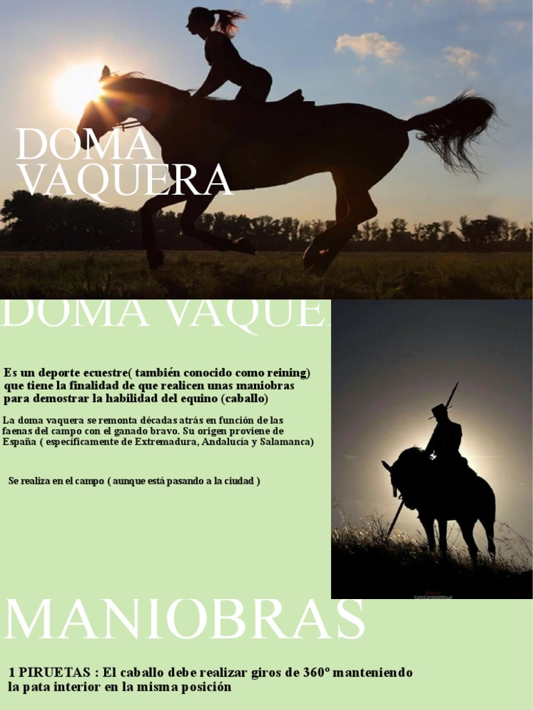 Doma Vaquera | PDF | Cocina, comidas y vino