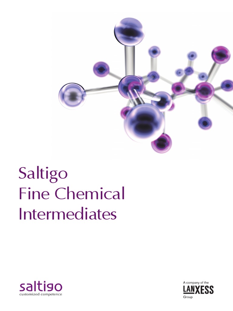 Saltigo Fine Chemical Intermediates | PDF | Chemical Substances ...