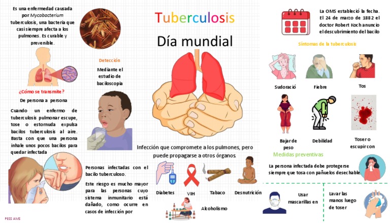 Tuberculosis, Infografía | PDF | Tuberculosis | Medicina