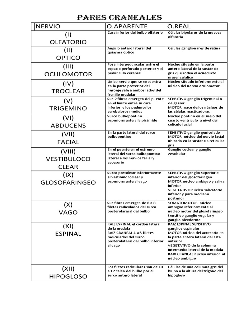 Tabla de Pares Craneales | PDF | Neuroanatomía | Sistema nervioso