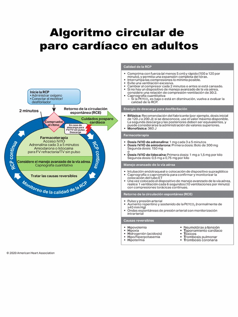 Tarjeta de Referencia SVCA - ACLS | PDF