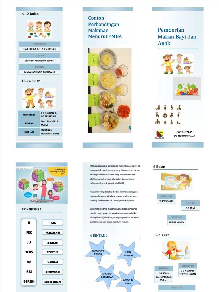 PDF Leaflet Pmba PDF - Compress | PDF